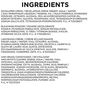 L'Oreal Paris Colorista Bleach, All Over