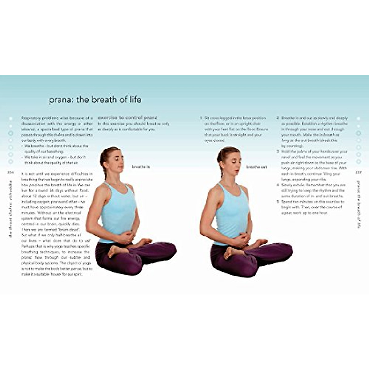 The Chakra Bible: The Definitive Guide to Working with Chakras (Volume 11) (Mind Body Spirit Bibles)