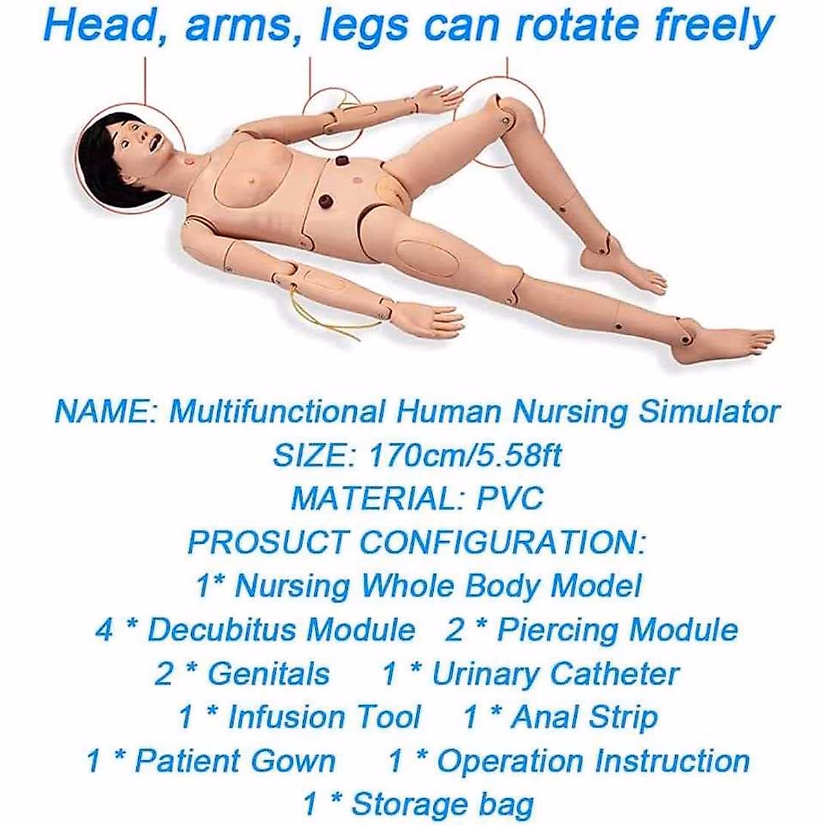 WFZY 5.5ft Patient Care Human Model PVC Anatomical Human Model Female Nursing Mannequin Removable Demonstration Human for Students Education Teaching Skills