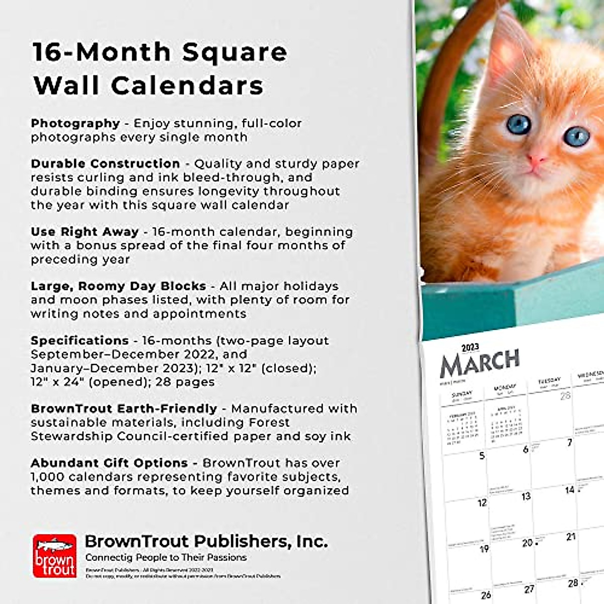 I Love Kittens | 2023 12 x 24 Inch Monthly Square Wall Calendar | Foil Stamped Cover | BrownTrout | Animals Cats Feline