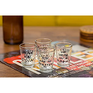 Silver Buffalo Friends Iconic Quotes Only 4 Pack Mini Glasses, 1.5 Ounces