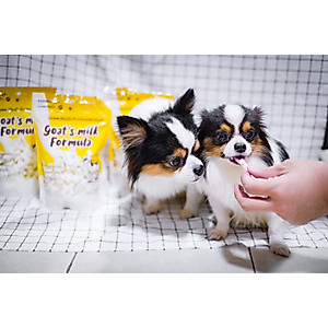 GOATMILK FUMULA 100% Sterilized Goat Milk Replacer 300 Tablets for Dog Puppy Cats Pet Milk Replacer Supplement High Protein Calcium Nourish Bones Teeth Strengthens Immunity Milk Replacement 500 g.