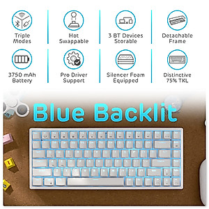 RK ROYAL KLUDGE RK84 Wireless Blue Backlit 75% Triple Mode BT5.0/2.4G/USB-C Hot Swappable Mechanical Keyboard, 84 Keys Tenkeyless Mechanical Keyboard w/Programmable Software, Blue Switch