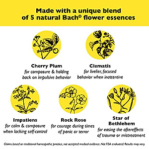 Bach RESCUE REMEDY PET for Cats 10mL, Natural Calming Drops, Stress Relief for Cats & Kittens Caused by Loud Noises, Travel, New Pets & People, Homeopathic Flower Remedy