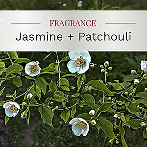 Essential Elements by Candle-lite Scented Candles, Jasmine & Patchouli Fragrance, One 9 oz. Single-Wick Aromatherapy Candle with 50 Hours of Burn Time, Off-White Color