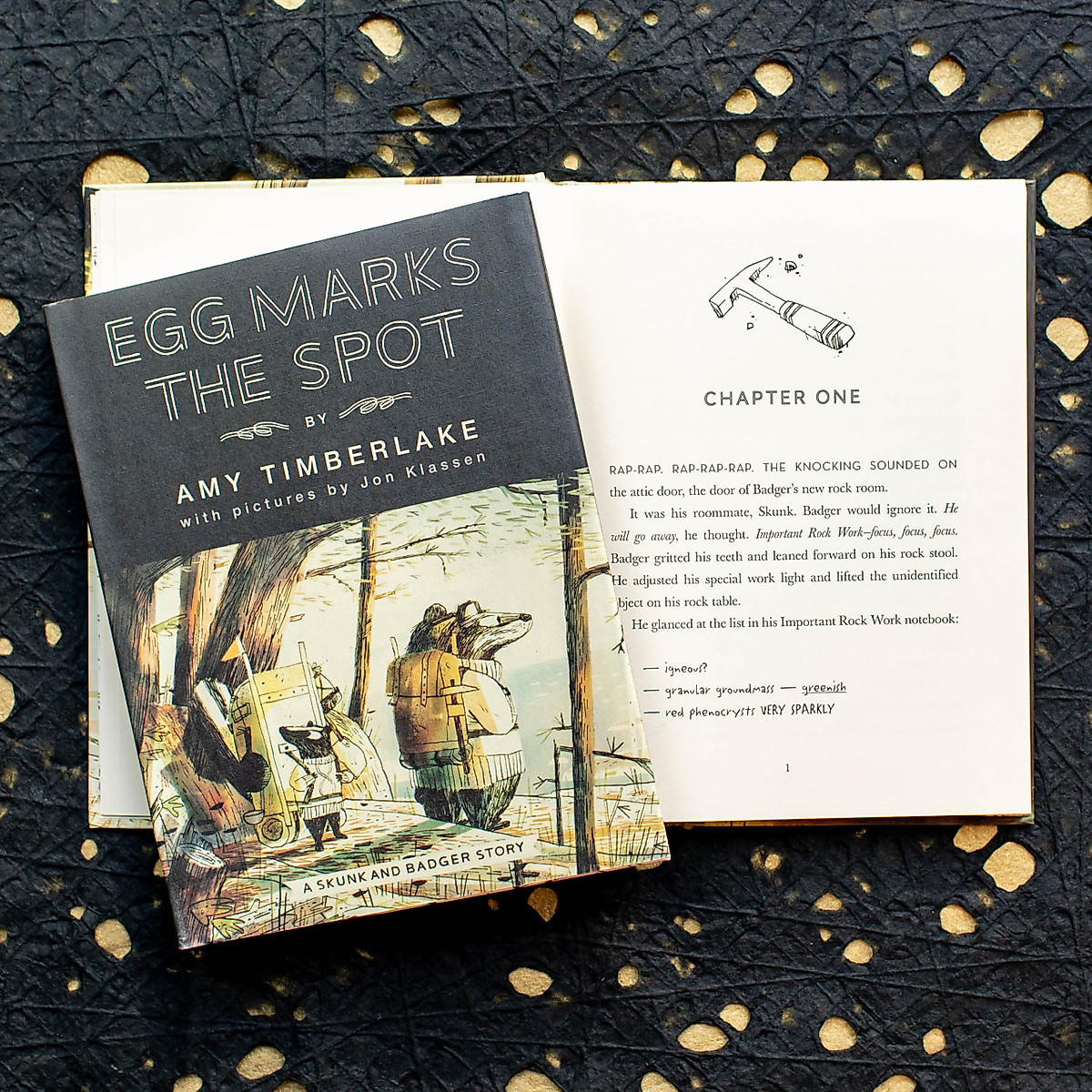 Egg Marks the Spot: A Skunk and Badger Story (Skunk and Badger, 2)