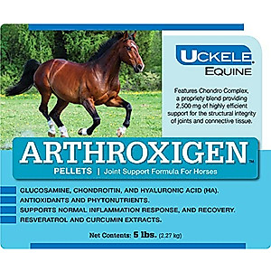 Uckele Arthroxigen Pellets - Joint Supplement Formula for Horses - Eqiune Vitamin & Mineral Supplement - Competition Ready - 5 Pound (lb)