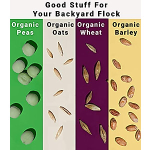 Hen Up Organic | Starter Grower Crumbles - Non-GMO Baby Chick Food | 25 Pound (25 lb) Bag