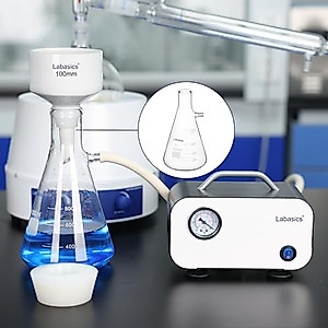 Labasics Glass 500 ml Heavy Wall Borosilicate Glass Filtering Flask, Bolt Neck with Tubulation, 500 ml