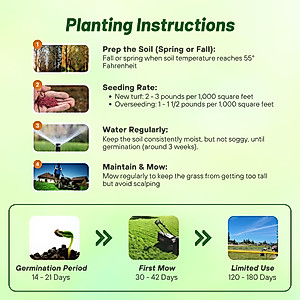 Outsidepride SPF-30 Hybrid Bluegrass Seeds - 5 lbs. Heat & Drought Tolerant, Texas Bluegrass & Kentucky Bluegrass Seed Mix for Challenging Climates, OptiGrowth Coated for Better Establishment