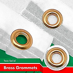 G128 Mexico Mexican Flag | 3x5 Ft | LiteWeave Pro Series Printed 150D Polyester | Country Flag, Indoor/Outdoor, Vibrant Colors, Brass Grommets, Thicker and More Durable Than 100D 75D Polyester