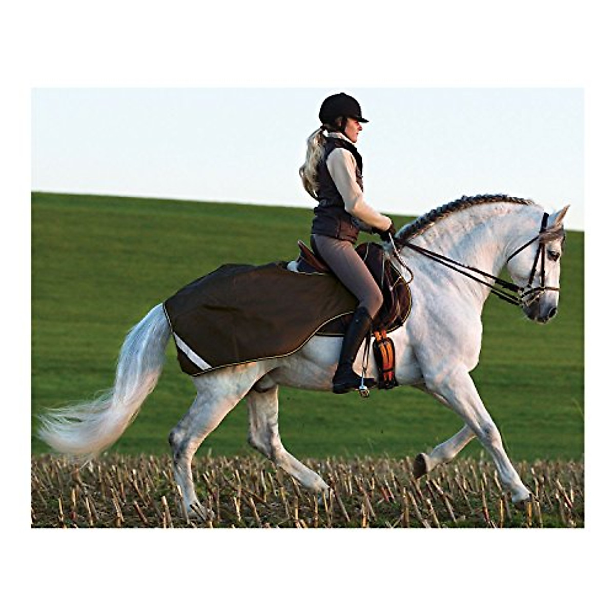 Horseware Amigo Competition Sheet L Navy