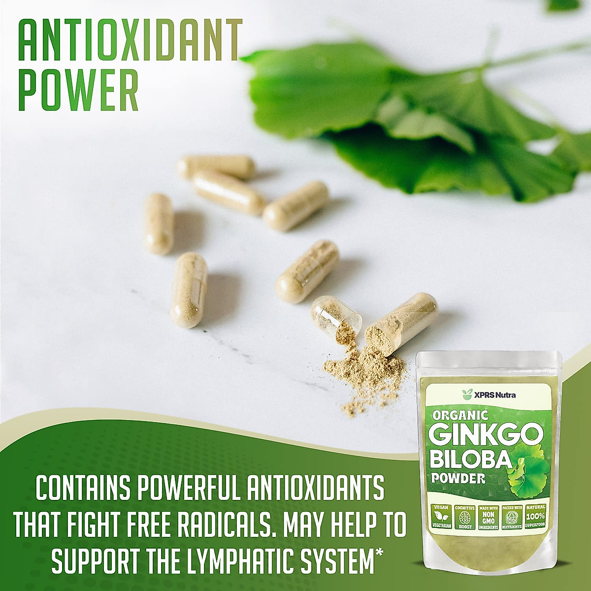 XPRS Nutra Organic Ginkgo Biloba Powder - Gingko Biloba Supplements for Cognition - Vegan Friendly Ginkoba Biloba Organic - Immunity Boosting Ginkgo Biloba Powder (8 oz)