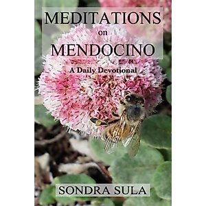 Meditations on Mendocino: A Daily Devotional