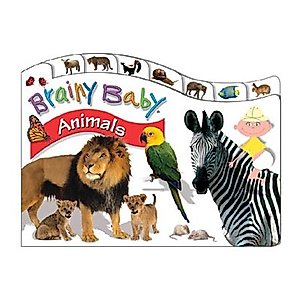 Animals Tab Book
