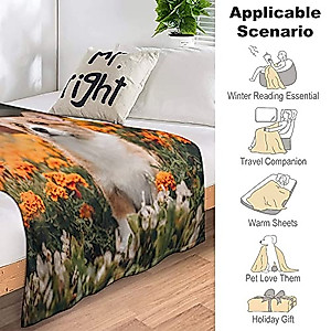 Corgi Pembroke Puppy Adventures Flannel Fleece Throw Blanket Soft Warm Lightweight Fuzzy Plush Blankets for Bed Couch Sofa 50"x60"