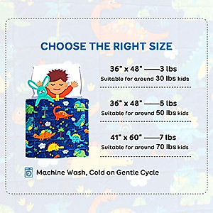 Sivio Sherpa Fleece Weighted Blanket, 5lbs Blue Dinosaur, Ultra Soft and Cozy Heavy Blanket, 36x48 Inch