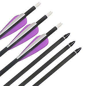IRQ Archery 31Inch Carbon Arrow Practice Hunting Arrows with Removable Tips for Compound & Recurve Bow(Pack of 12)