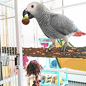 Kshcf Portable Parrot Stand Pepper Wood Bird Perch Parrot Toy Stand Birds Chew Stand Gift Holder Cockatiel