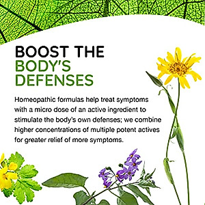 MediNatura T-Relief Pet Arthritis Pain Relief Arnica +12 Powerful Natural Medicines Help Reduce Hip & Joint Pain, Soreness & Stiffness - Fast-Acting Soother for Dog & Cat - 1.69 oz