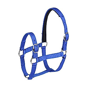 N/A Horse Riding Competition Equipment Training Rope Horse Head Collar Adjustable Horse Riding Safety Triangle Belt Equestrian Equipment (Color : Blue, Size : Medium)