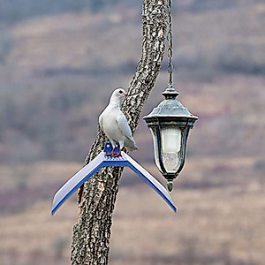 Yardwe 10pcs Dove Rest Stand Bird Perches Pigeon Stand Roost Frame Plastic Pigeon Perches Bird Supplies Accessories for Home Pigeon Bird Parrot (Random Color)