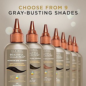 Clairol Professional Beautiful Collection Advanced Gray Solutions, 2RV Burgundy Brown, 3 oz. - Packaging May Vary