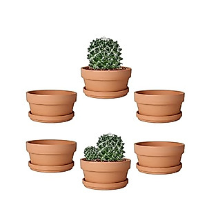 vensovo 5.7 Inch Terracotta Shallow Succulent Pot - 6 Pack Terra Cotta Clay Pots with Saucer, Cacuts Terra-Cotta Indoor and Outdoor Planters with Drainage Hole