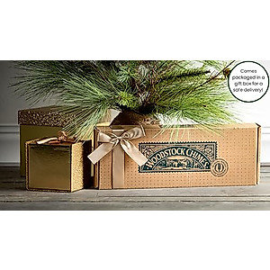 Woodstock Wind Chimes Zenergy Duo Hand Bell Chime, 2 Tone, Bell Percussion Instrument for Meditation, Yoga, Classrooms, Offices, Great for Awareness, Relaxation 7.5" (ZENERGY2)