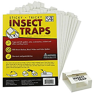S&T INC. 512501 30pk Insect Traps, Brown Recluse, Hobo Spiders, Black Widows, White, 30 Count