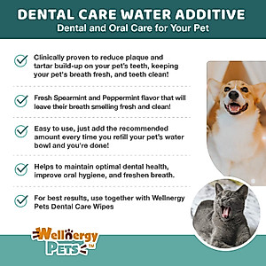 Wellnergy Pets Dental Care Water Additive for Dogs & Cats 2 Pack – No Brush Formula, Oral Hygiene & Fresh Breath, Reduce Plaque and Tartar. 16 FL OZ Each Bottle