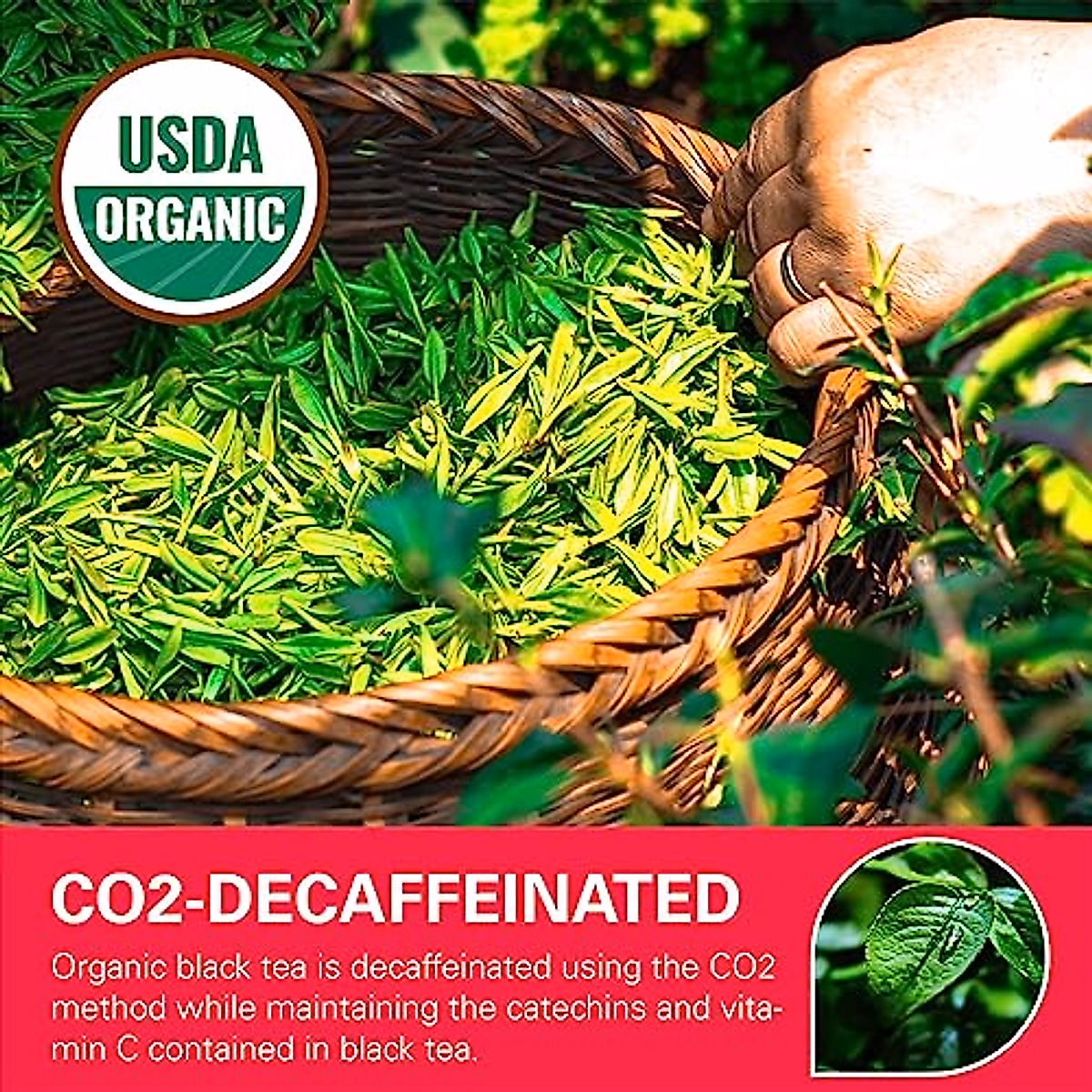 WT WEETEE Organic Decaf Black Tea Bags, USDA Organic Black Tea 100 Count | Smooth & Mild Taste | CO2-Decaffeinated | Resealable Kraft Bag