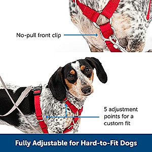 PetSafe Sure-Fit Dog Harness - Training & Behavior Aid - Tactical Design Prevents Pressure on Throat - 2 Quick-Snap Buckles Simplify Slipping On & Off - 5 Adjustment Points - Small, Black
