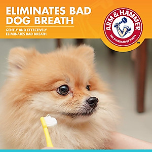 Arm & Hammer for Pets Clinical Care Dental Enzymatic Toothpaste for Dogs | Soothes Inflamed Gums | Safe for Puppies | Fresh Breath Vanilla Ginger - 72 Pack