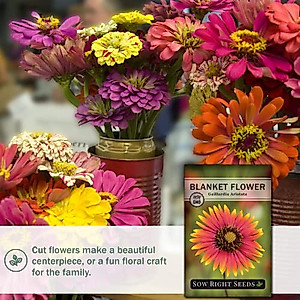 Sow Right Seeds - Blanket Flower Seeds to Plant - Full Instructions for Planting and Growing a Flower Garden; Non-GMO Heirloom Seeds; Wonderful Gardening Gift (1)