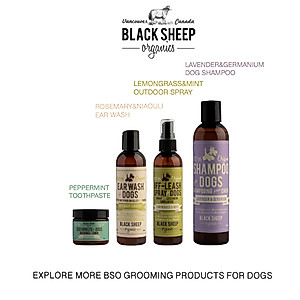 Natural Dog Ear Cleaner Solution - Dog Itchy Ears Treatment - Eliminates Odor & Waxy Buildup - Gentle Dog Ear Wash Formula - Made in Canda by Black Sheep Organics (4 fl oz)