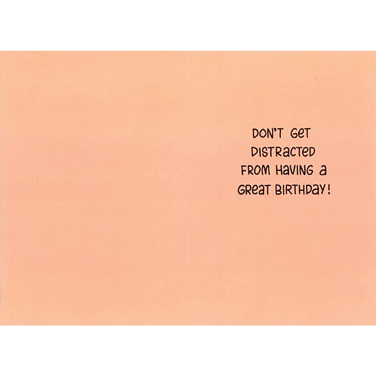 Recycled Paper Greetings Dog Distracted by Squirrel Funny/Humorous Birthday Card