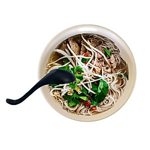 Lucky Star Melamine Japanese Ramen Spoon Noodle Soup Spoon 6.5”, Black, 48-pcs per case (4 dozen)