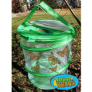 Nature Bound Butterfly Growing Habitat Kit - With Discount Voucher to Redeem Live Caterpillars for Home or School Use - Green Pop-Up Cage 12-Inches Tall - for Boys and Girls Ages 5+