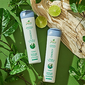 Naissant Energy Treatment Shampoo | Hair Growth Accelerator, Strengthener for Color Treated & Natural Hair | Enriched with Marine Glycogen & Natural Extracts to Prevent Hair Loss (10.1 Fl Oz)