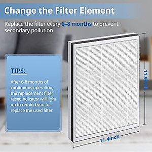 2 Pack Vital 100 True HEPA Replacement Filter Compatible with LEVOIT 100 Air Purifier, H13 and High-Efficiency Activated Carbon Set, Part Number 100-RF