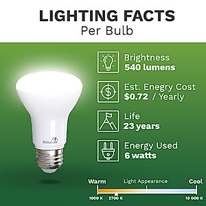 Bioluz LED 2-Pack R20 LED Light Bulbs, 6W = 50W Replacement, 2700K Bright Warm White LED Light Bulbs, 540 Lumens, 90 CRI, Dimmable, Soft White, Indoor/Outdoor, UL Listed, CEC Title 20
