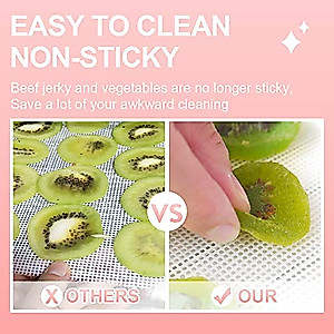 5 Pieces Non-stick Fruit Dehydrator Mats,Reusable Dhydrator Screens ,Dehydrator Sheets Fruit Dryer Mesh for Hamilton Beach 32100A (12.2"x9.45")