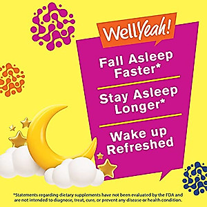 WellYeah Melatonin Gummies 20mg (2 Pack) - Naturally Sourced Flavors - Drug-Free Gummy Supplement - Gluten Free and Gelatin Free, Vegetarian - 60 Gummies