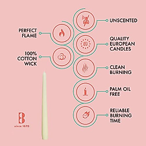 BOLSIUS Ivory Taper Candles - 10 Pack Unscented 10 Inch Dinner Candle Set - 8 Hours Burn Time - Premium European Quality - Smokeless and Dripless Household, Wedding, Party, and Home Décor Candlesticks