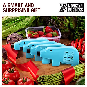 Monkey Business Kids Ice Packs For Lunch Box/Lunch Ice Packs Reusable/Slim Ice Packs Perfect For Your Kid's Lunch Box/Fun Freezer Packs Your Kids Will Love (Mom Pack of 4)