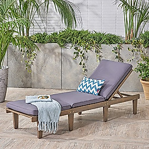 Christopher Knight Home Alisa Outdoor Acacia Wood Chaise Lounge, Grey Finish/Dark Grey Cushion