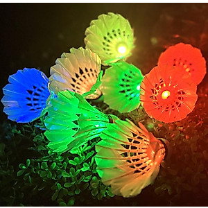 Inngree LED Badminton, [10 Pack] Colourful Shuttlecock Dark Night Goose Feather Glow Birdies Lighting Outdoor Indoor Sport Activities(10PCS)
