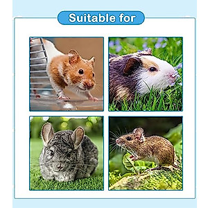 MUYG Wooden Hamster Foraging Toys,Enrichment Foraging Toy Guinea Pig Interactive Hide Treats Puzzle Snuffle Game Small Animal Chew Toys for Chinchilla Rat Bunny Hedgehog Gerbils