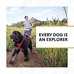 Ruffwear, Knot-a-Leash Dog Leash, Reflective Rope Lead with Carabiner, Blue Moon, Large